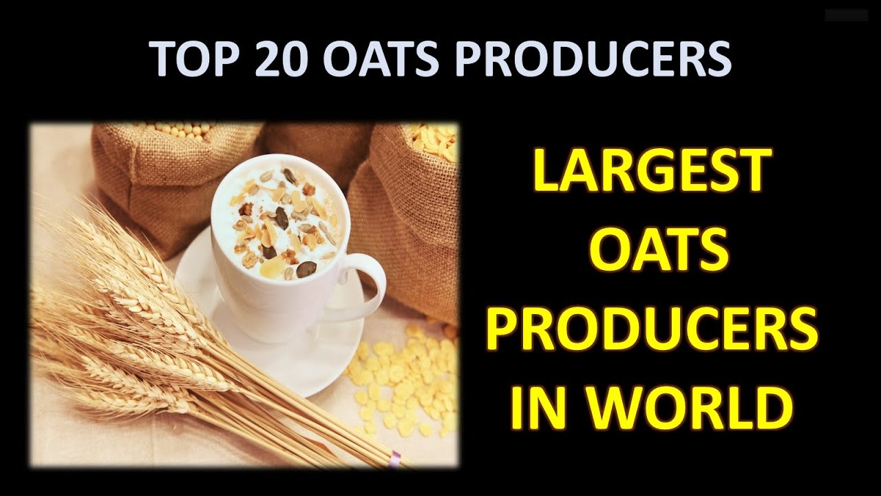 Largest Oats Producing Countries in the World | Top 20 Oats Producing ...