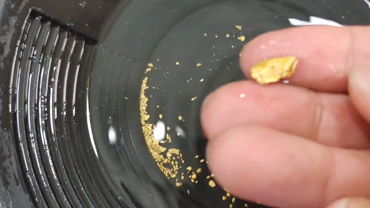 장마철 사금짬탐 gold pick up - YouTube