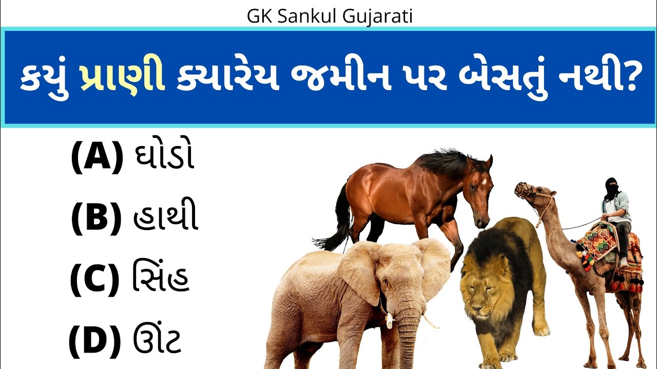 GK Question | GK In Gujarati | GK Question and Answer | GK Quiz - YouTube
