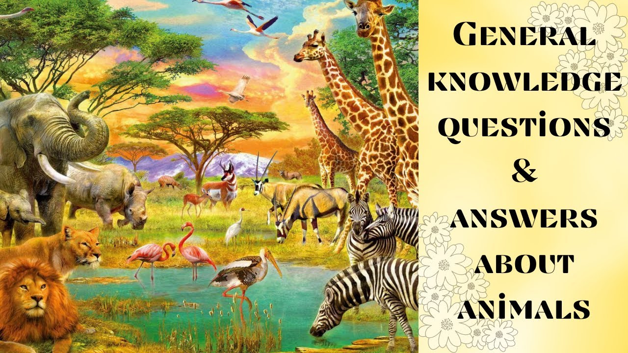 50 General Knowledge Q&A about animals #generalknowledge #students # ...