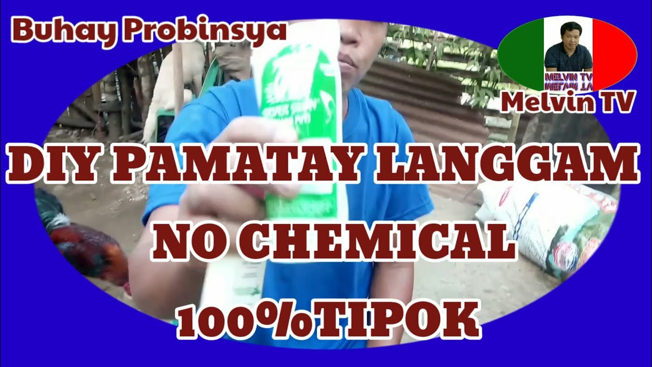 DIY PAMATAY LANGGAM (NO CHEMICAL)100%TIPOK - YouTube