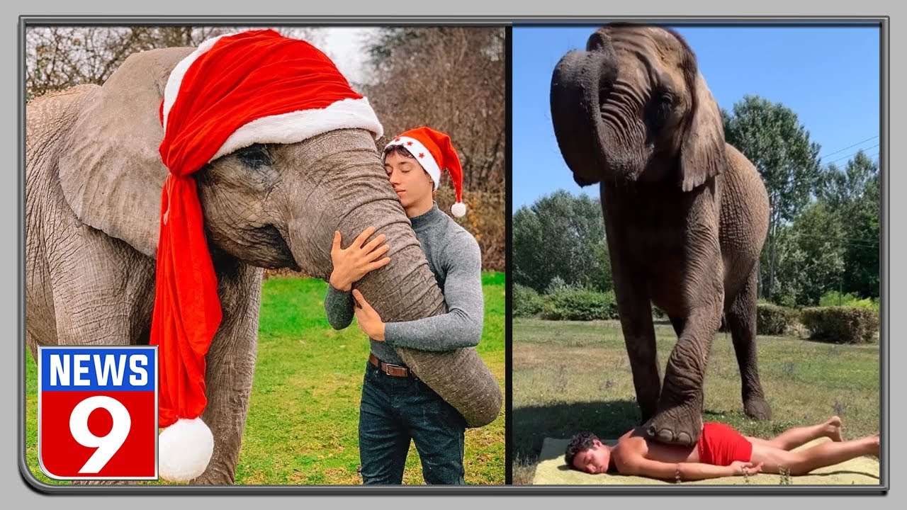 Watch this adorable video of an elephant and its human friend! - YouTube