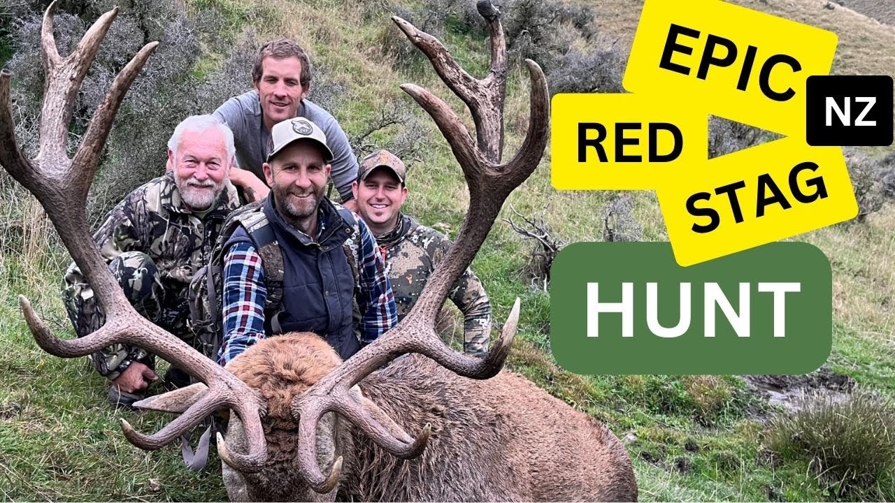 Unbelievable NZ Red Stag Hunting Adventure | Perfect Shot! - YouTube