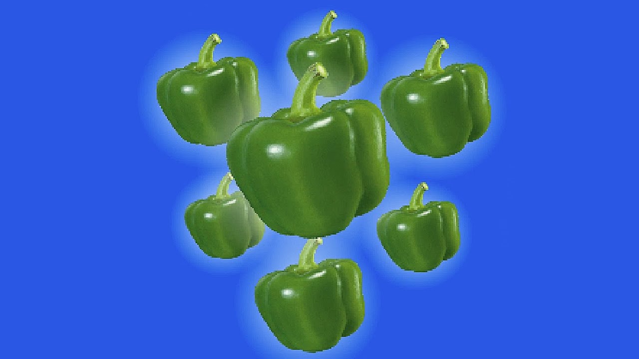 rotating & motion pepper green screen/ pepper ANIMATION green screen ...