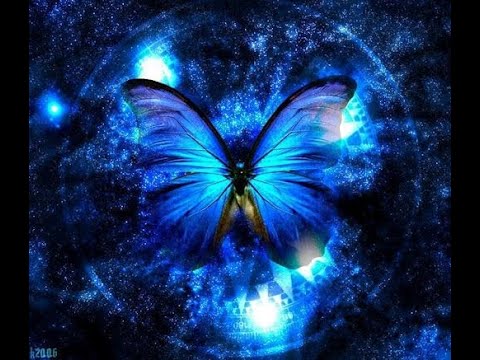 ~~ Tiny Warriors ~~ - YouTube