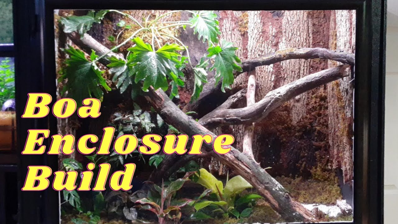 Step by Step Enclosure Build for a Boa Constrictor - YouTube