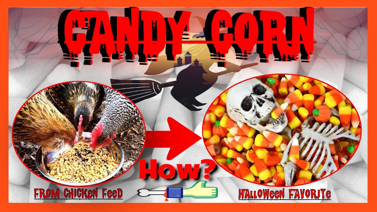 The Surprising History of Candy Corn: From Chicken Feed to Halloween ...