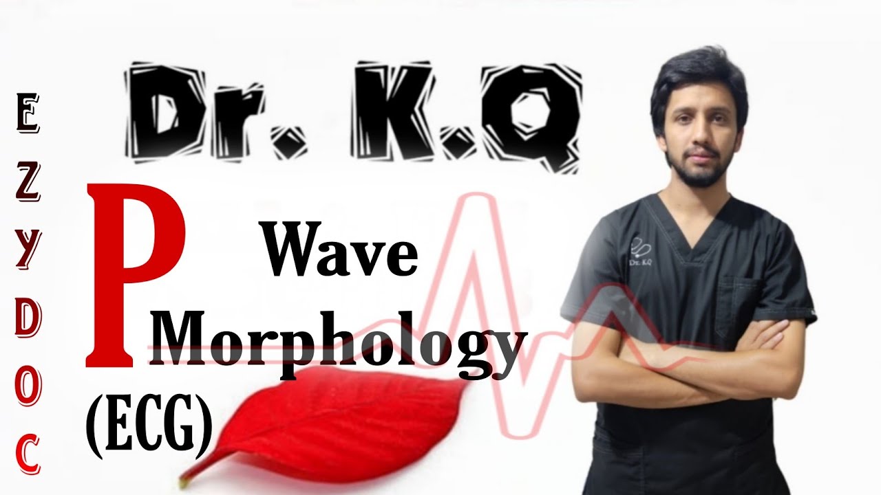 P wave In ECG |P wave Morphology |ECG |Dr K.Q - YouTube