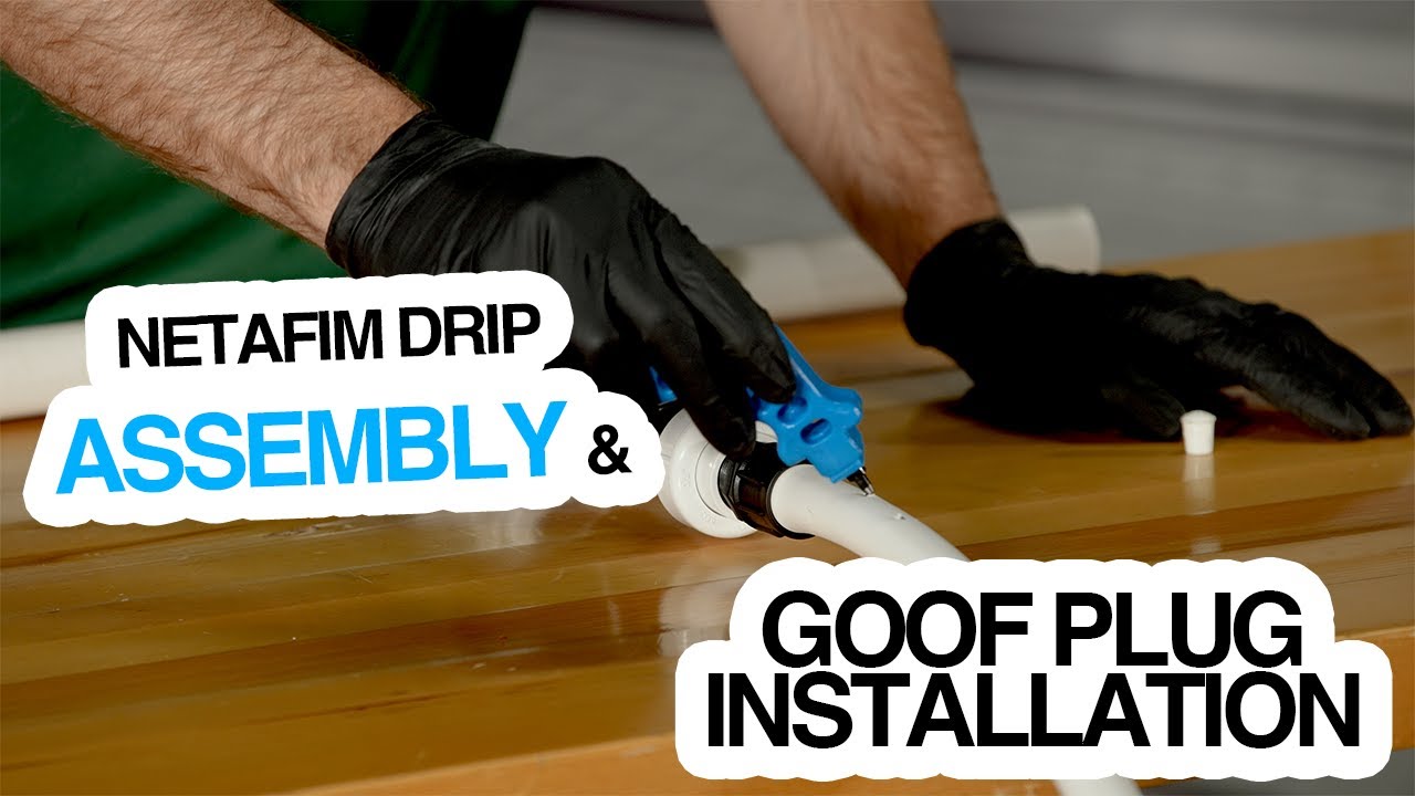 NETAFIM DRIP ASSEMBLY AND GOOF PLUG INSTALLATION - YouTube