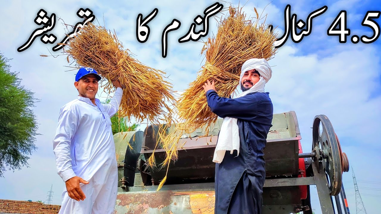 4.5 Kanal Gandum ka Thresher | Gandum ka thressure | Thresher Machine ...