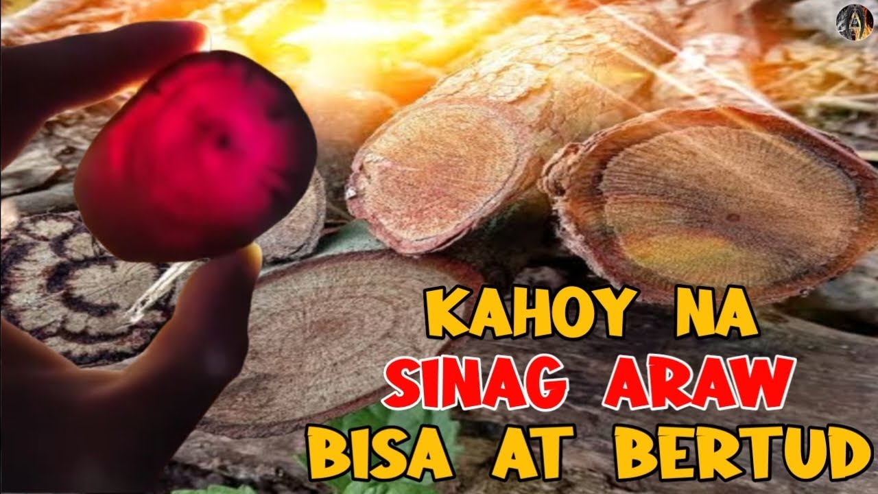 KAHOY NA SINAG ARAW BISA AT BERTUD | KAPANGYARIHAN SA PANINIWALA - YouTube