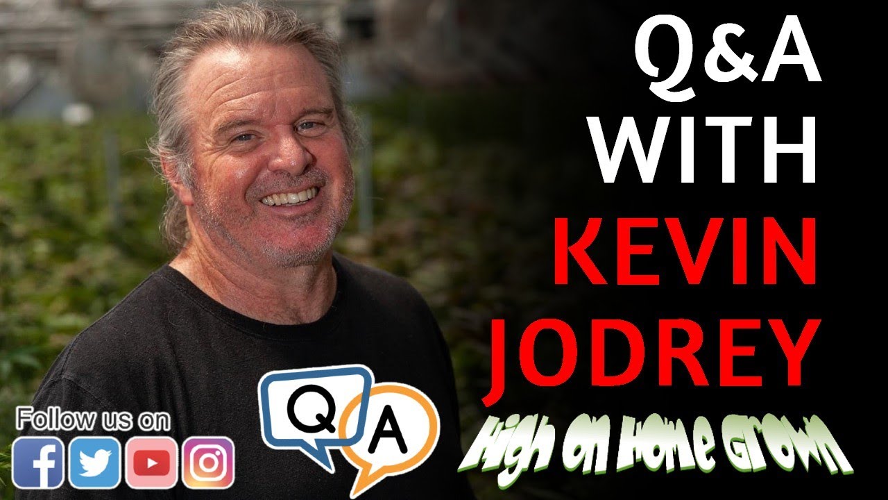 Live Q & A With Kevin Jodrey, co-founder of The Ganjier! - YouTube