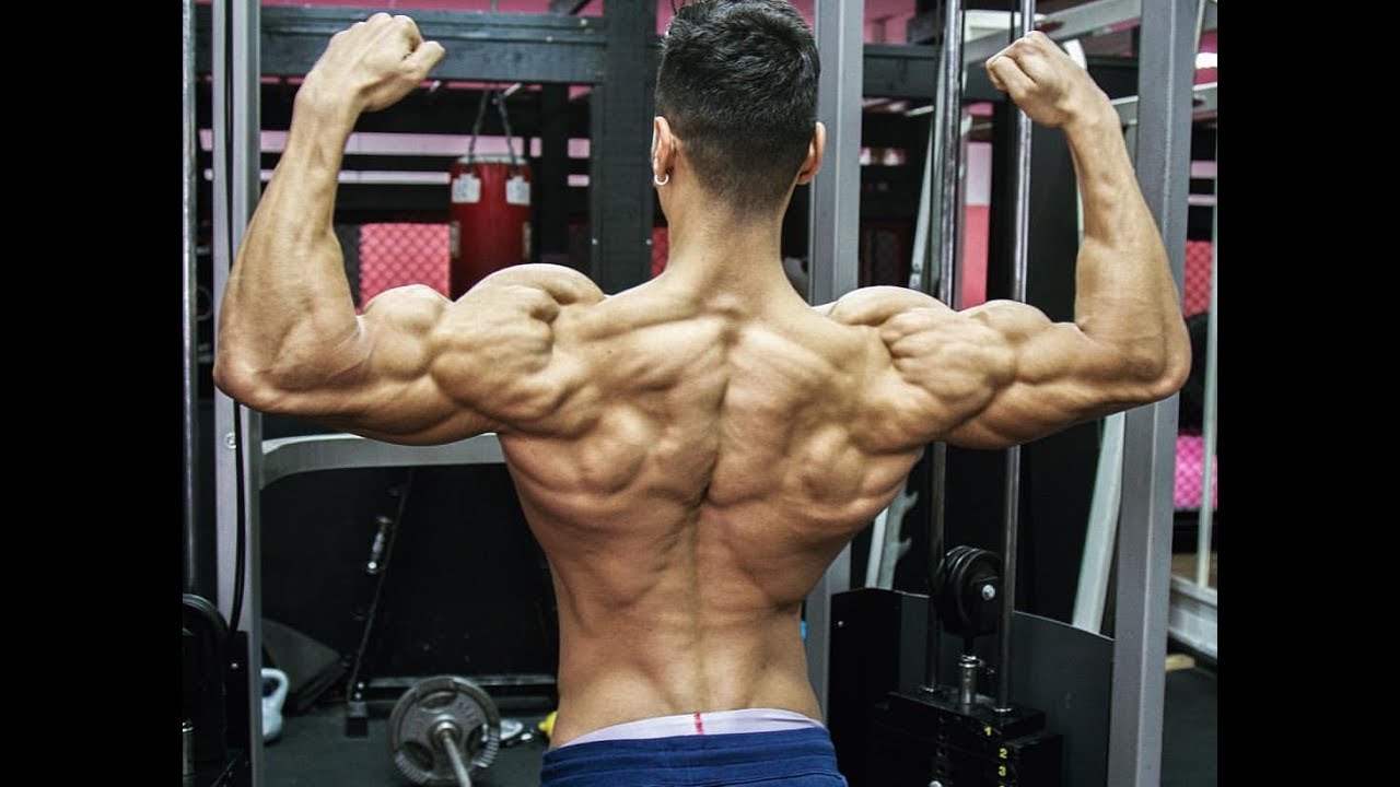 Insane Back Workout (HIT EVERY MUSCLE!!) - YouTube