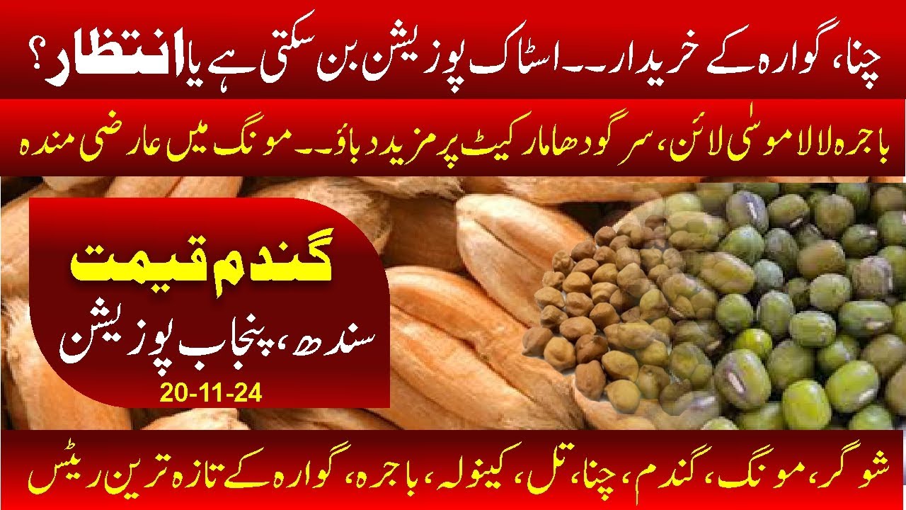 today-moong-rate-in-pakistan-wheat-updated-price-munji-export