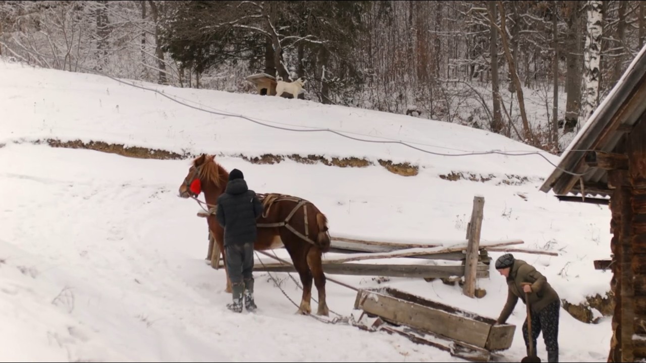 Mountain Life on the Edge. A True Story of a Family's Resilience in ...