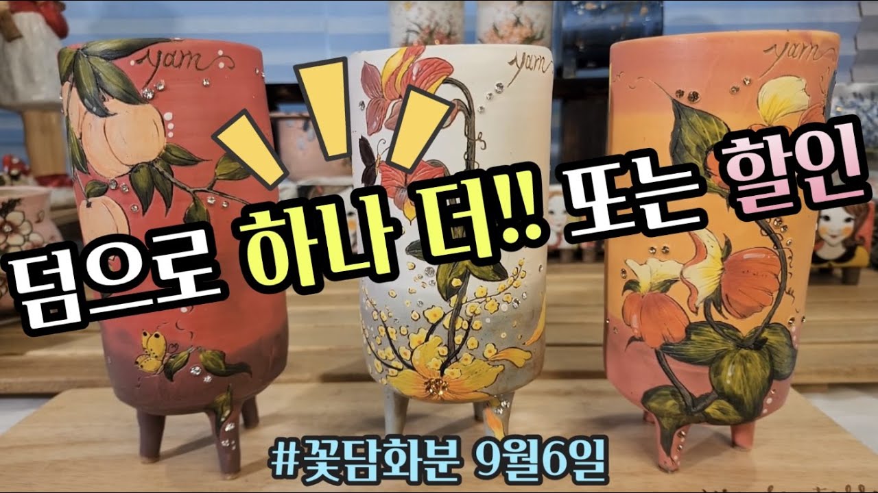 9월6일 덤으로 하나더 또는 할인 꽃담다육스토리예쁜화분화분싸게파는곳다육식물多肉植物succulents다육이꽃담화분다육화분꽃담다육스토리화분 Youtube