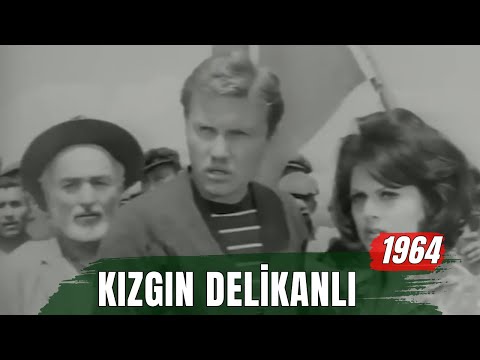 Kızgın Delikanlı | Türkan Şoray - Göksel Arsoy Siyah Beyaz Eski Türk Filmi