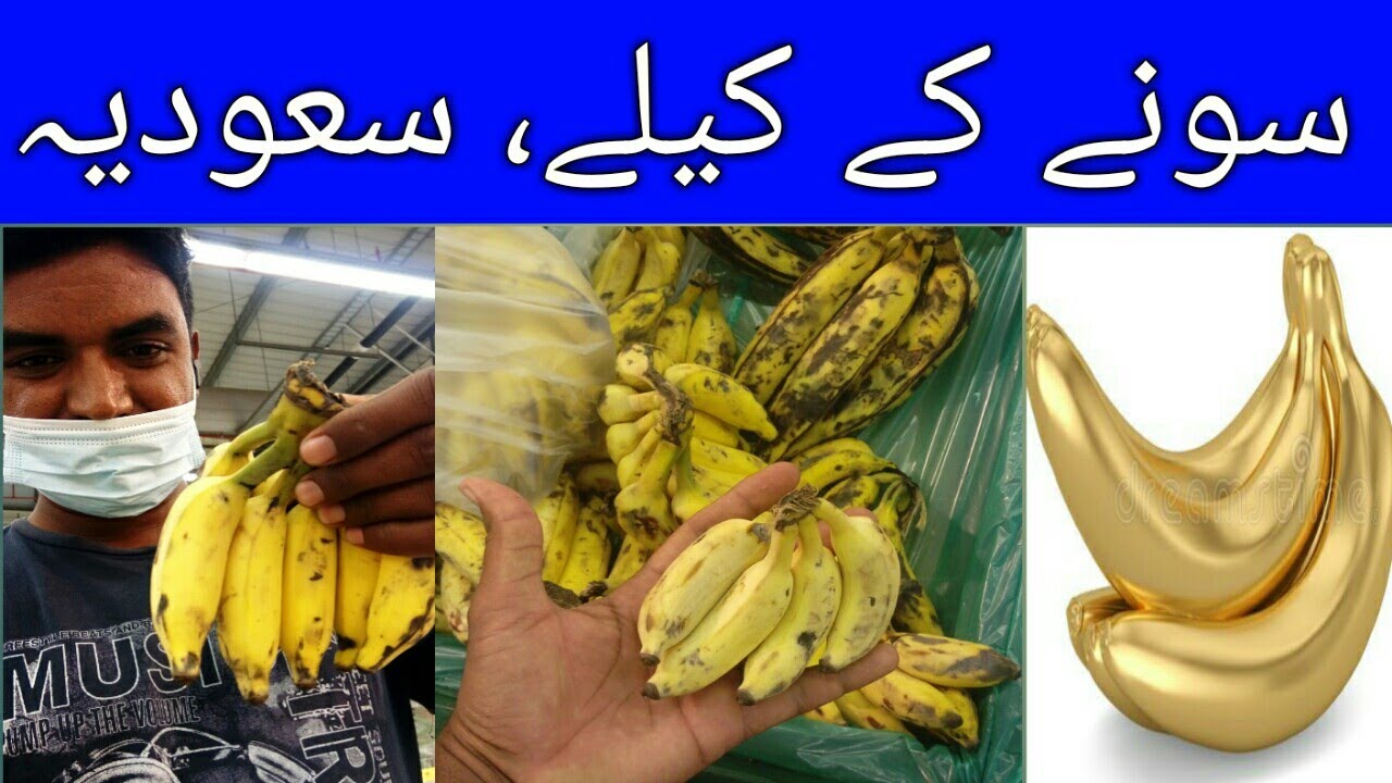 You too will be Amazed at the Rate of Bananas in Saudi Arabia, saudi ...