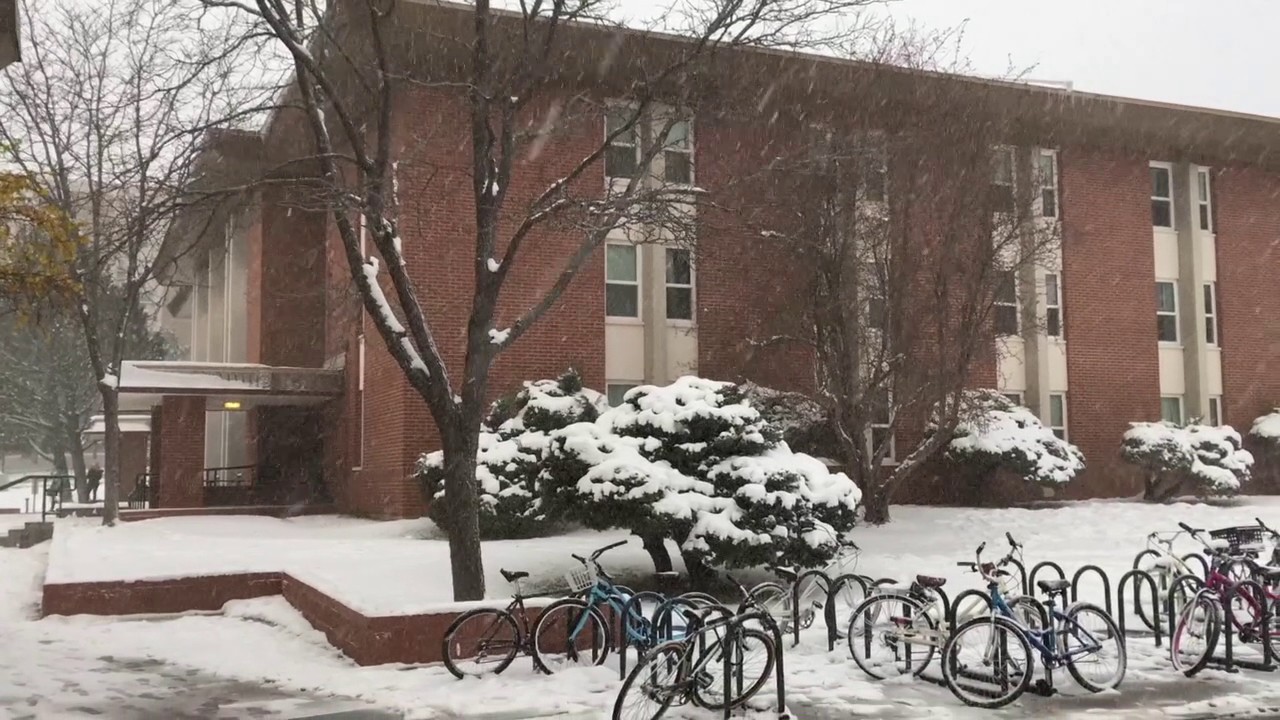 Allen Hall - YouTube