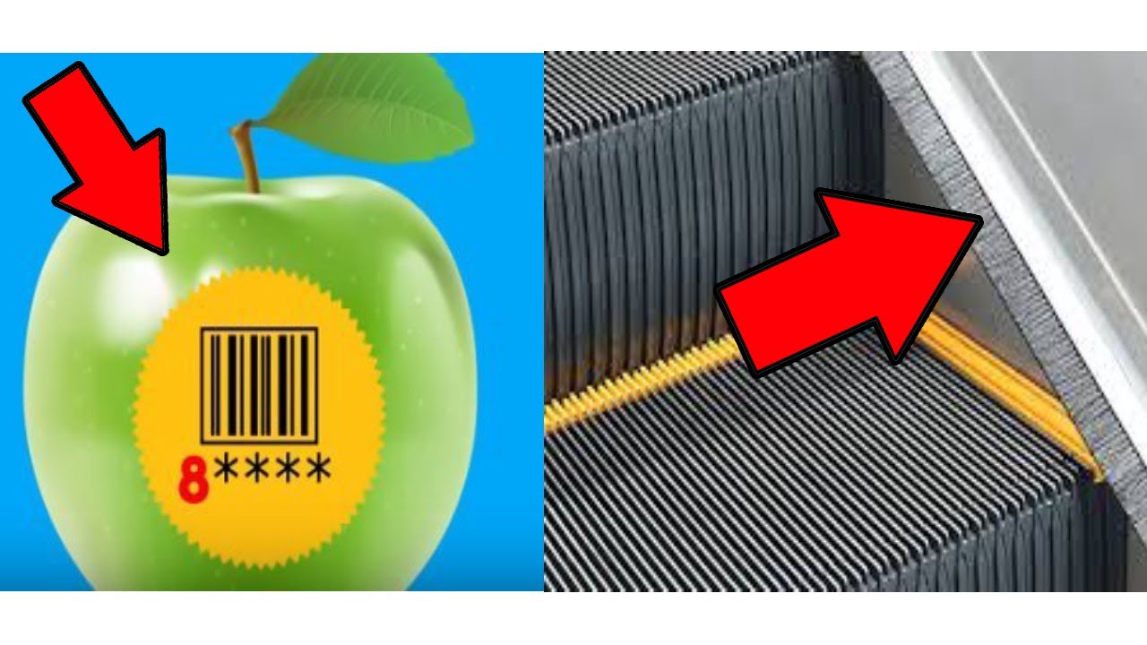TOP 10 CHESTII INTERESANTE despre care NU ati STIUT! - YouTube