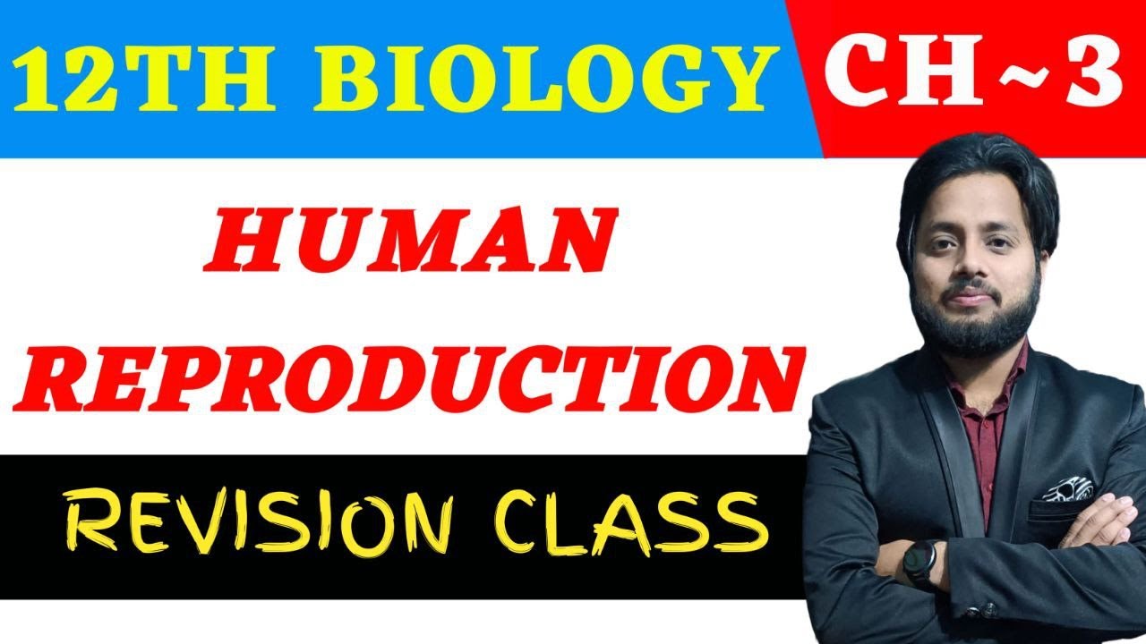 Human Reproduction One Shot Class 12 Revision | Biology Class 12 ...