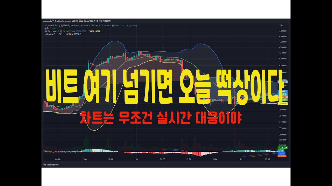 마동석코인 마코 비트 여기 넘기면 오늘 떡상이다 차트는 무조건 실시간대응이야 이더리움 비트코인가이드 비트코인 알트코인