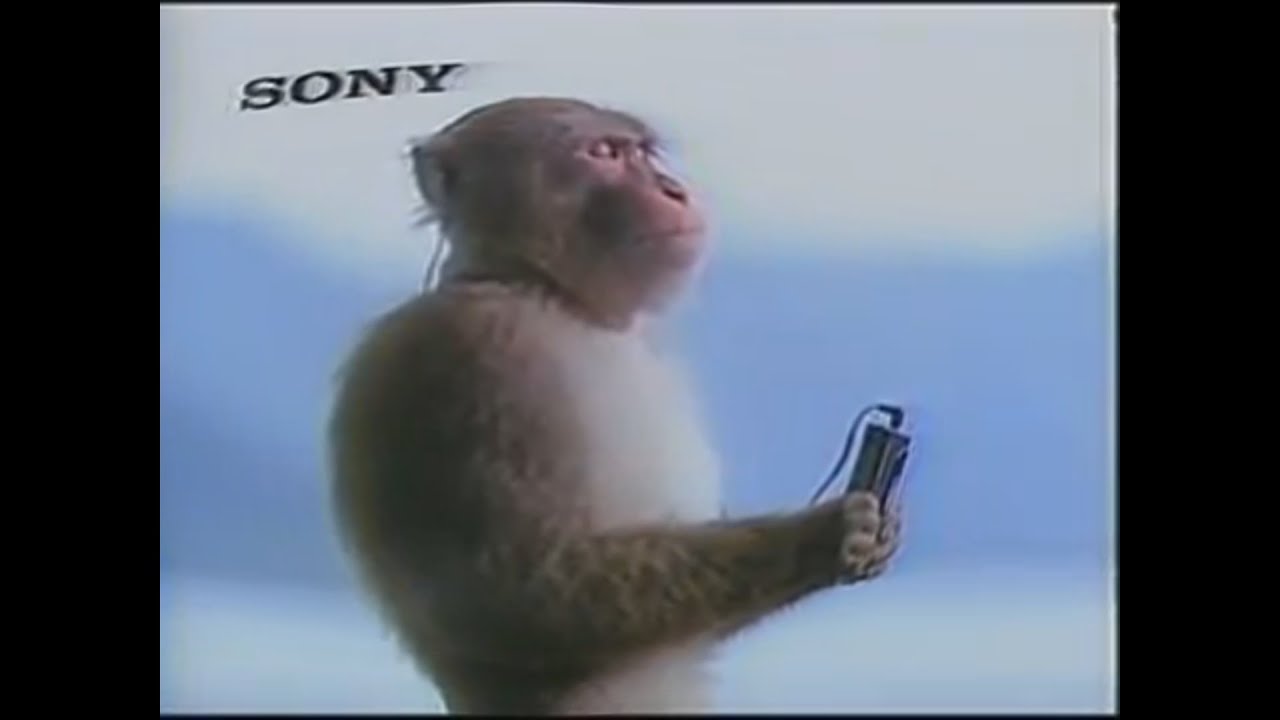 SHAWTY LIKE A MELODY MEME - YouTube