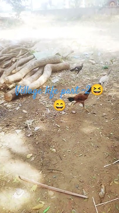 village life part -2 - YouTube