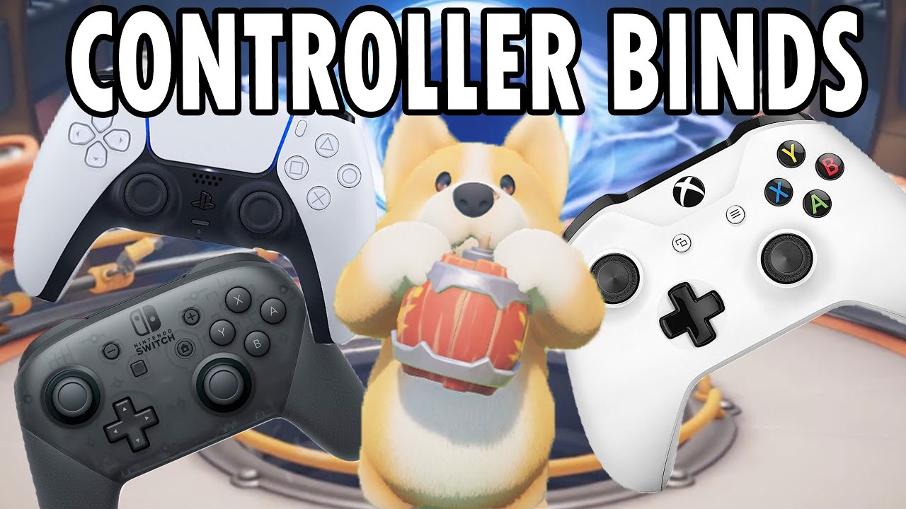 Best Party Animals Controller Settings - YouTube