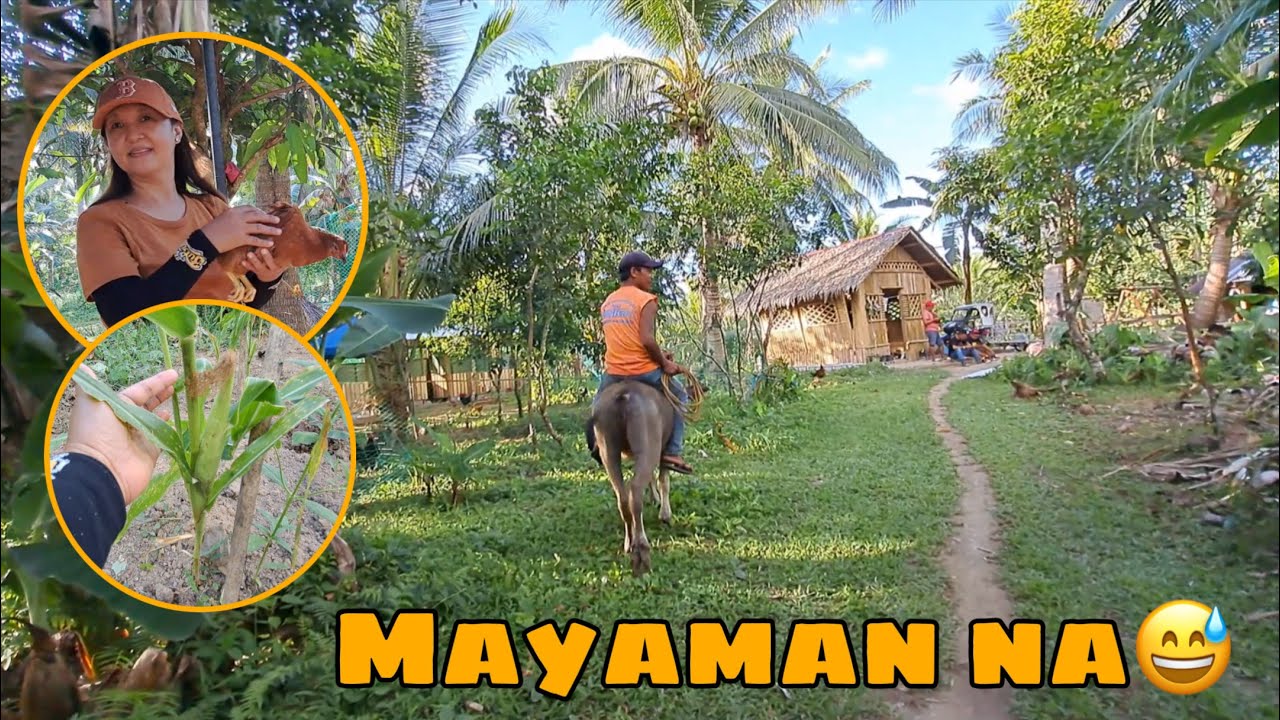 GULAYAN SA BUKID🧑‍🌾🌱 - YouTube