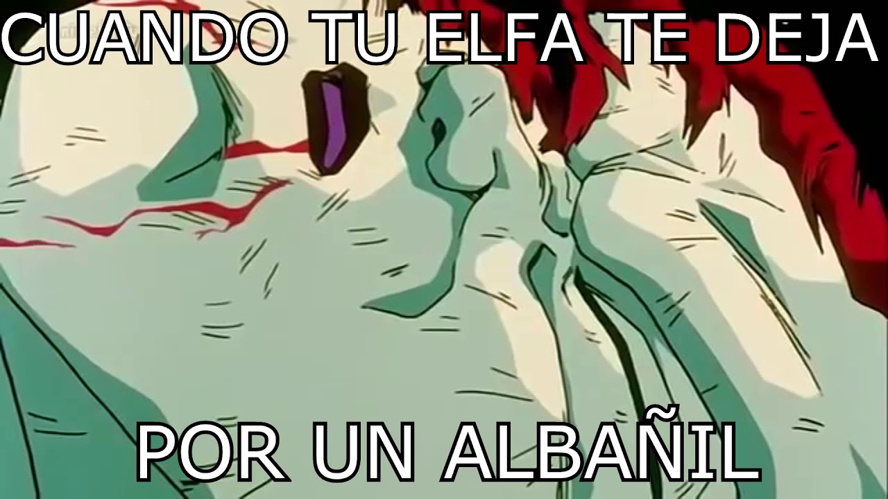 CUANDO TU ELFA TE DEJA POR UN ALBAÑIL | 𝗗𝗥𝗔𝗚𝗢𝗡 𝗕𝗔𝗟𝗟 𝗠𝗘𝗠𝗘 #8 - YouTube