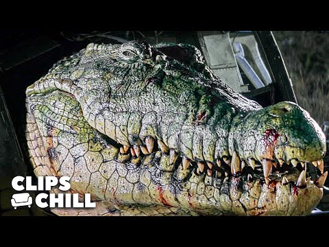 Showdown Against the MASSIVE Crocodile | Lake Placid