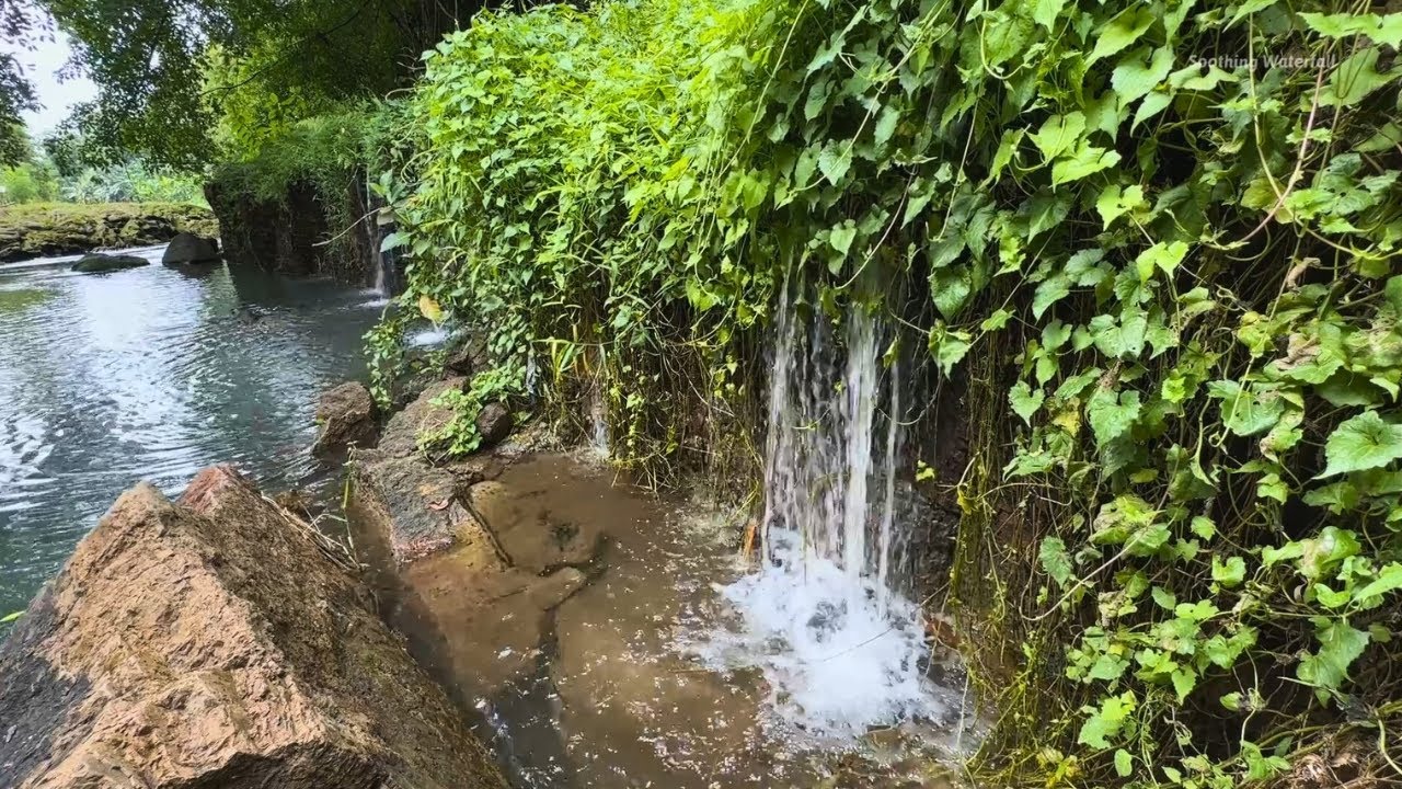 Calming Waterfall Stream Sound in Forest - Waterfall Sound Effect No ...