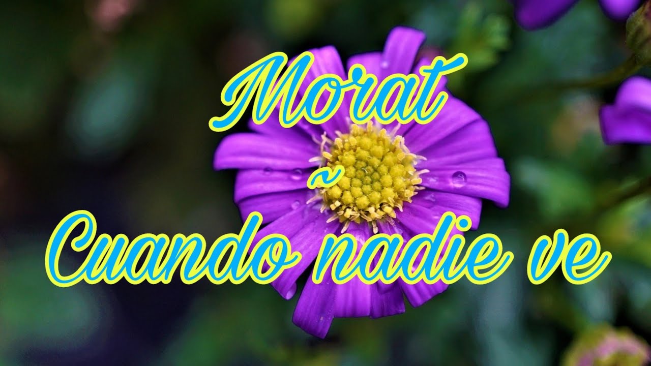 Cuando nadie ve ~ Morat // letra ️ - YouTube