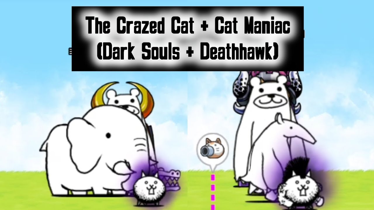 The Crazed Cat + Cat Maniac NO GACHA - YouTube