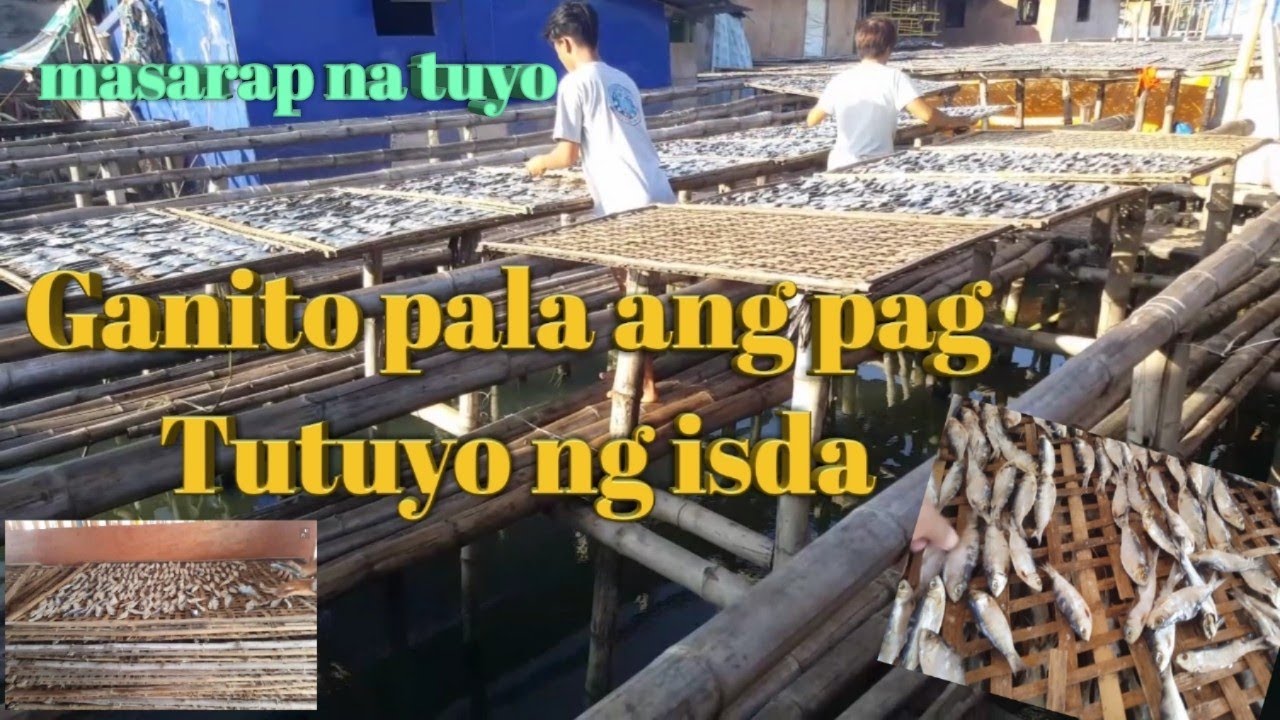 Paano magtuyo ng isdang halubaybay (Pangnegosyo) - YouTube