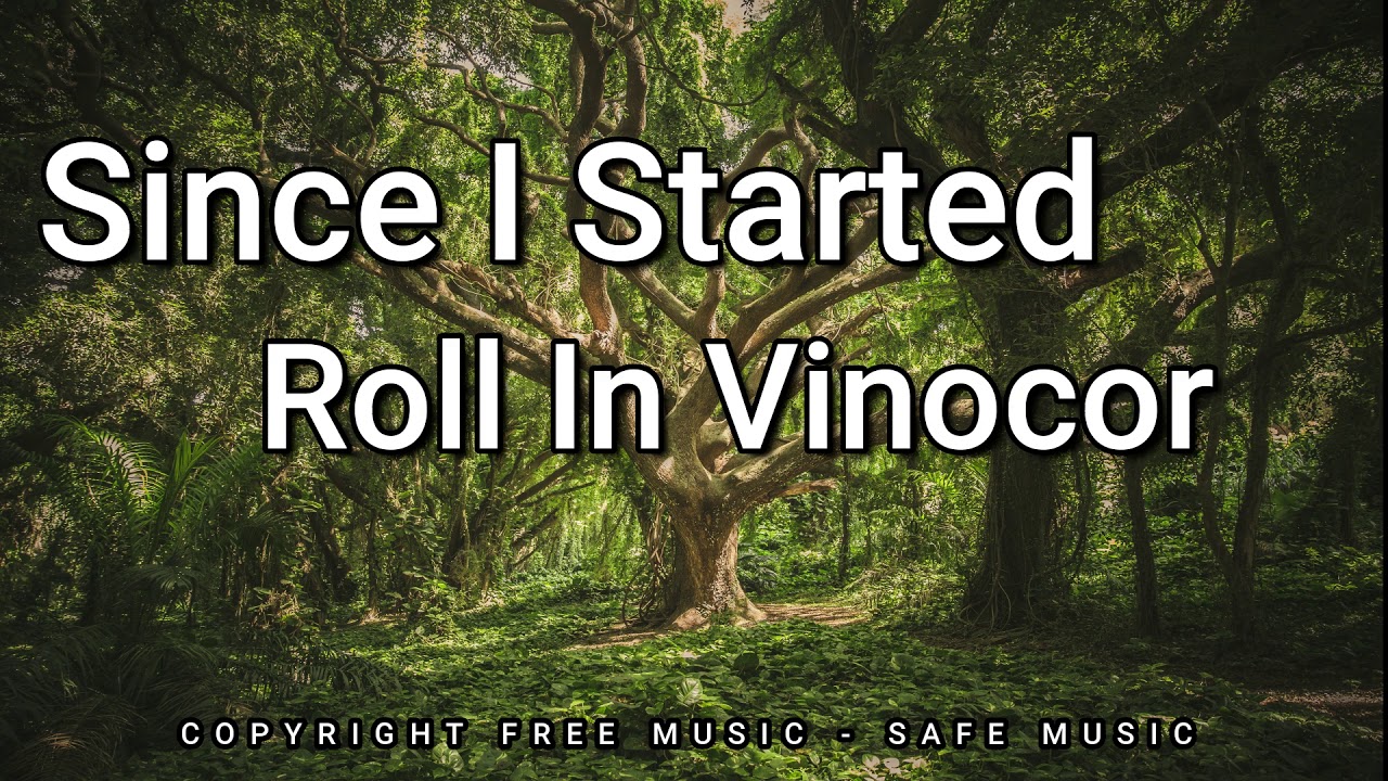 Since I Started Roll In Vinocor Audio Library - YouTube