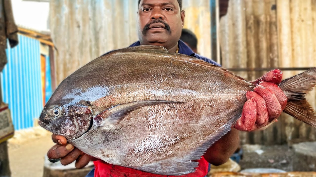 KASIMEDU 🔥 SPEED SELVAM | HUGE VAVAL FISH CUTTING VIDEO | 4K VIDEO | KM ...