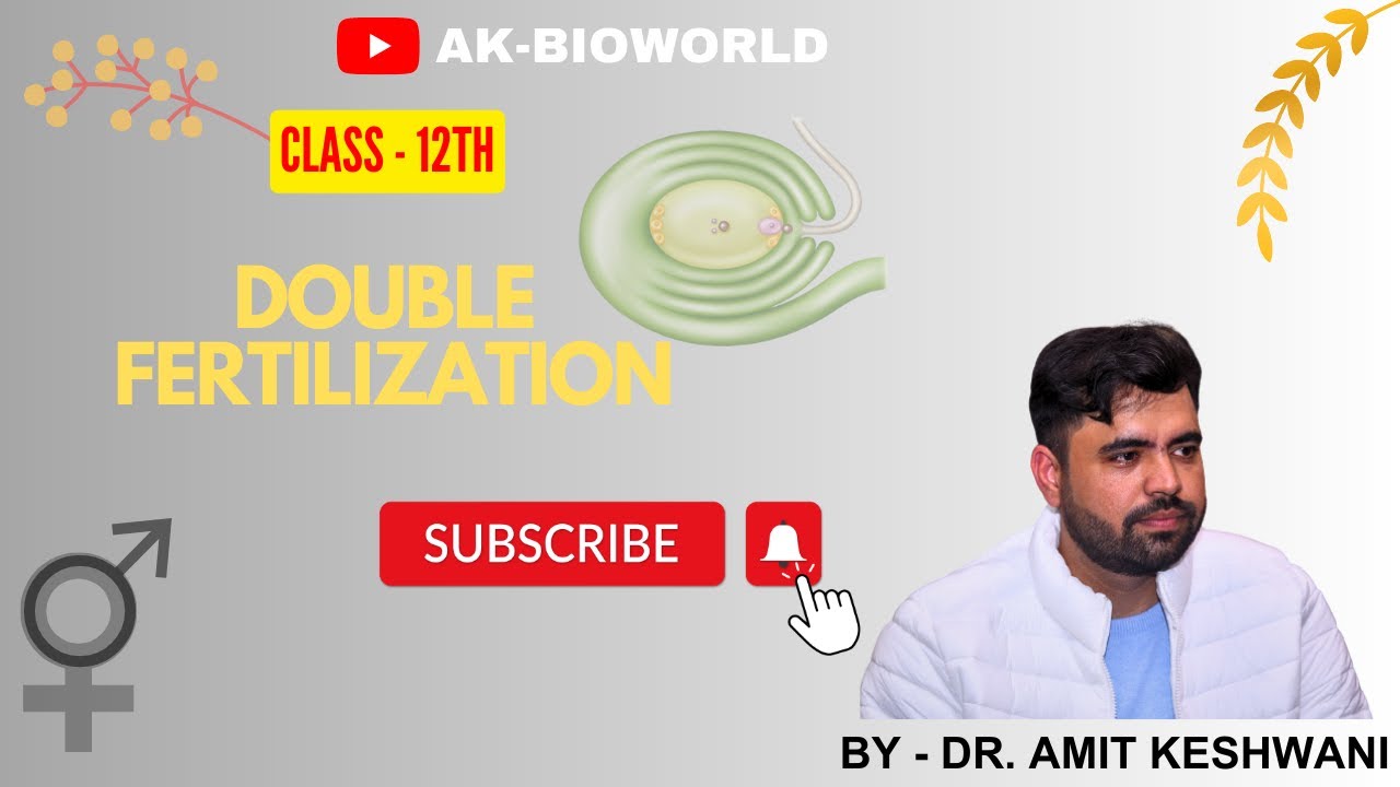 Double Fertilization | sexualreproductioninfloweringplantsclass12 ...