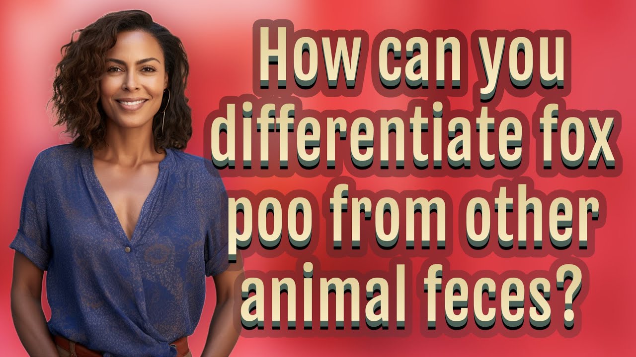 How can you differentiate fox poo from other animal feces? - YouTube