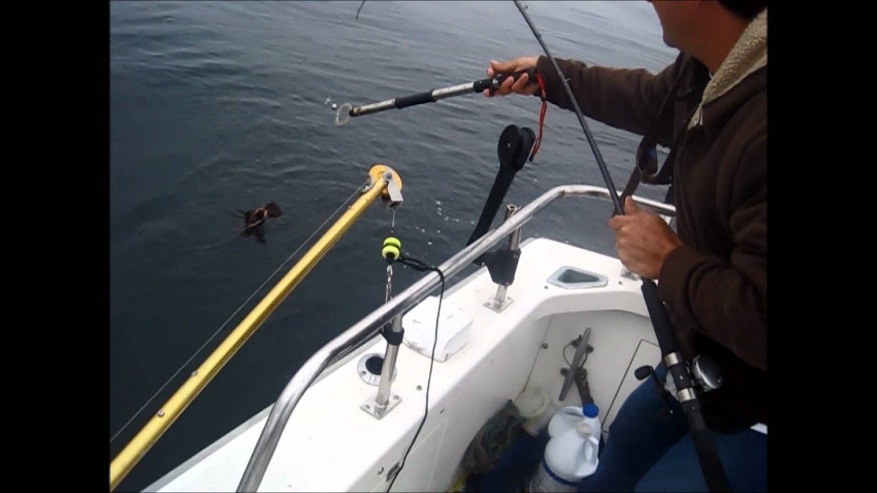 Dean Ween and Les Claypool go fishing - YouTube