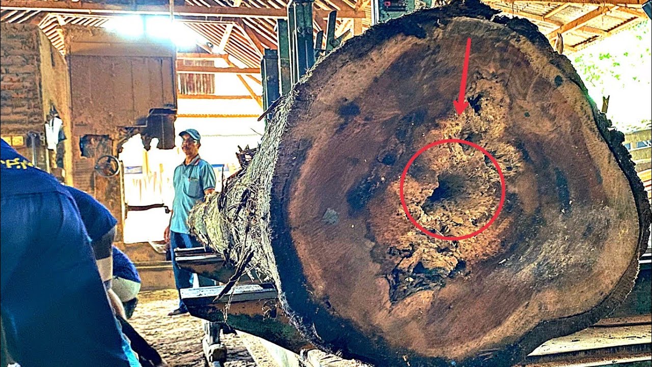 This is what sawmill workers are afraid of: This teak sawmill turned ...