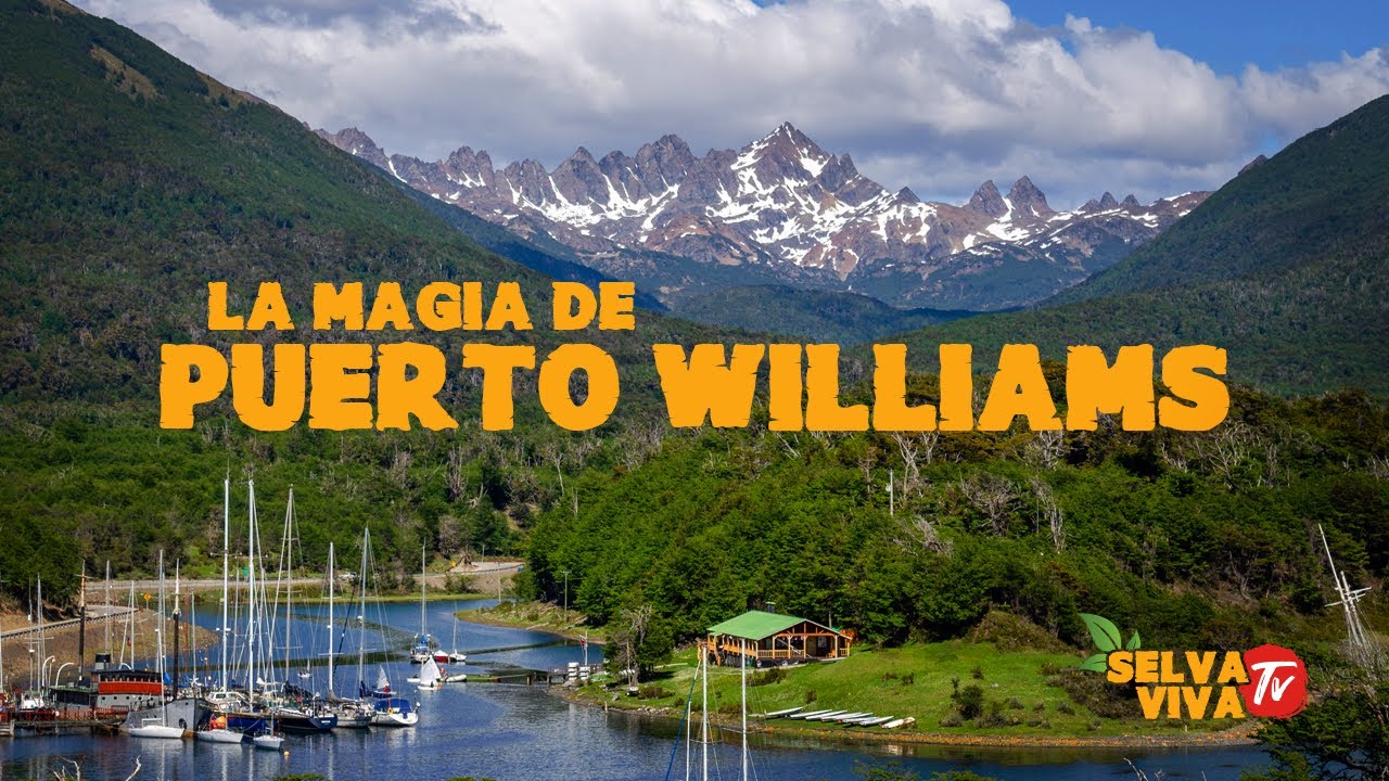 Selva Viva Patagonia | INTRO: La magia de Puerto Williams - YouTube