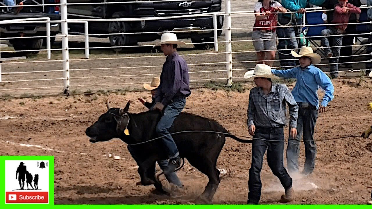 Wild Steer Racing - 2020 Earth Junior Ranch Rodeo - YouTube