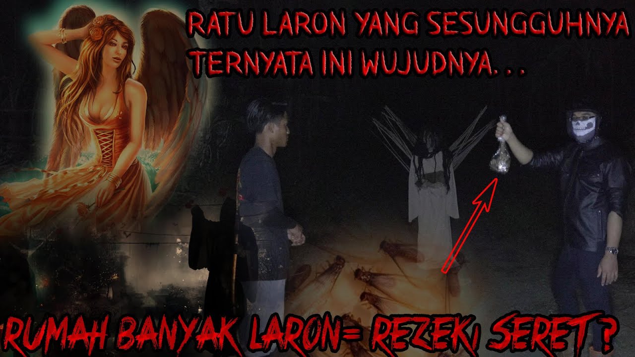 AMARAH RATU LARON PERTANDA BURUK!!, JIKA BANYAK LARON MASUK KEDALAM ...