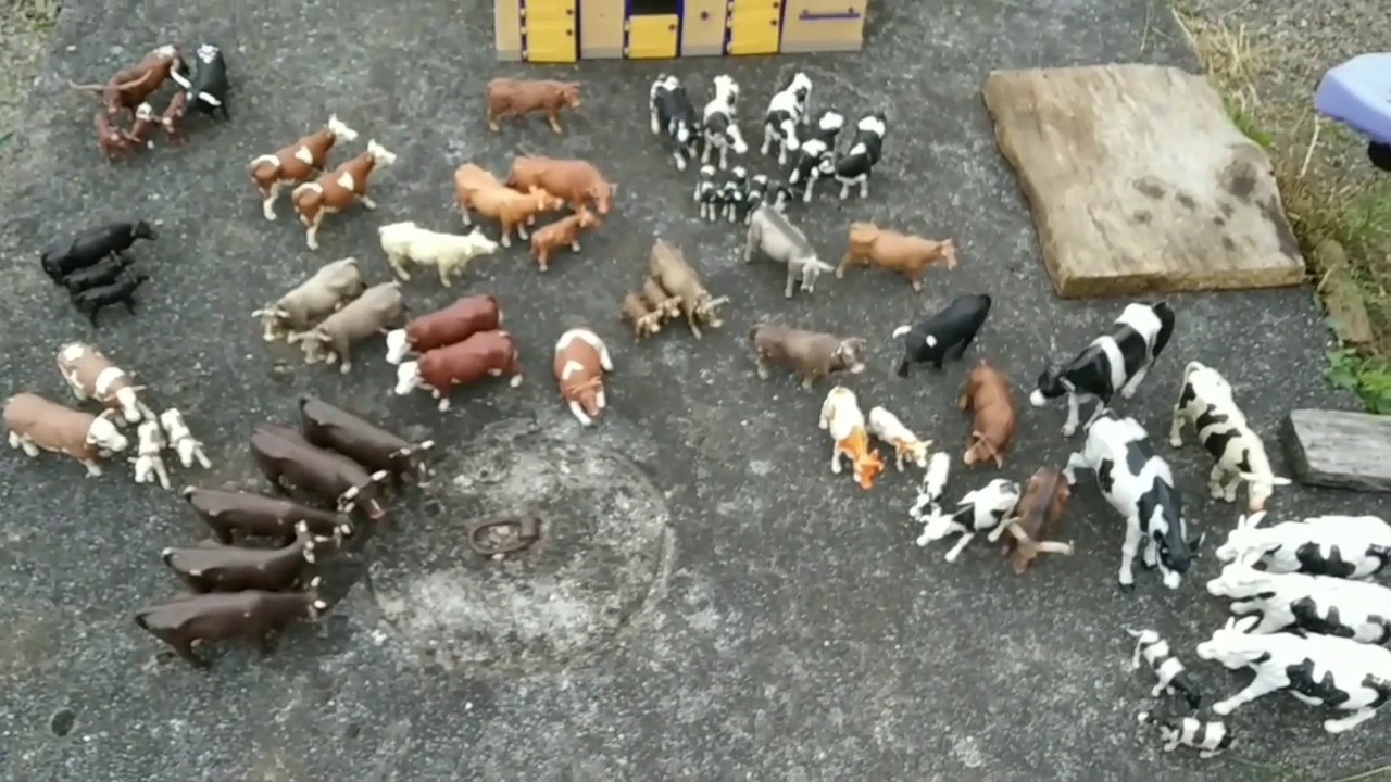 Nuestra colección de vacas de juguete - YouTube