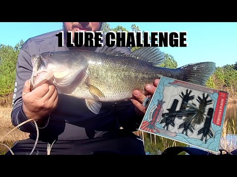 ONE LURE CHALLANGE! | Tight Rope Baby Fire Work Super Jig\10000 Fish ...