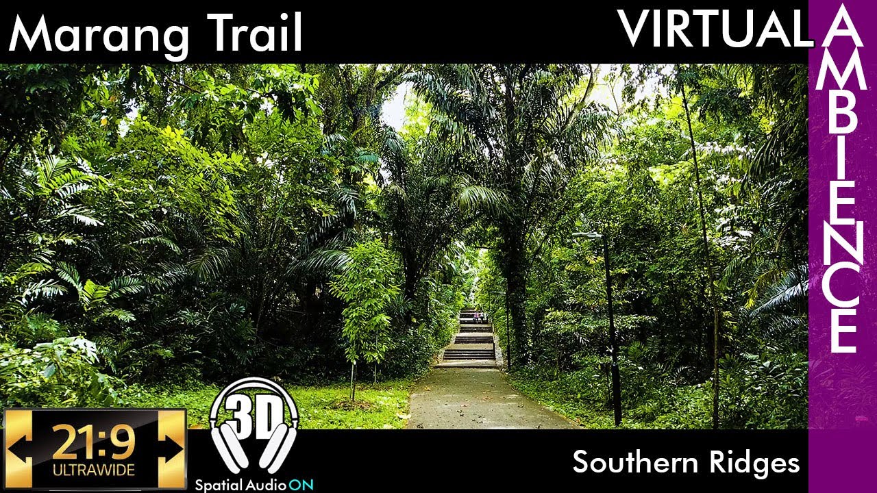 Singapore Ambience - Marang Trail Entrance - YouTube