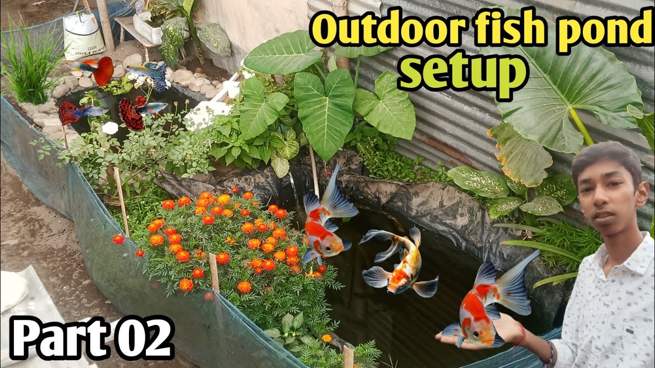 My outdoor fish pond setup 😄 ||part 02 - YouTube