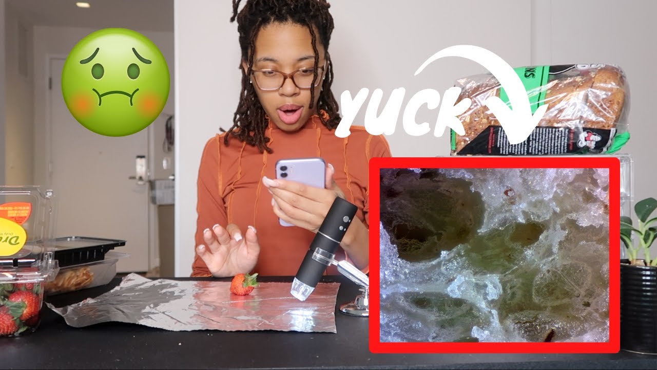WHAT YOUR FOOD LOOKS LIKE UNDER A MICROSCOPE | gross - YouTube